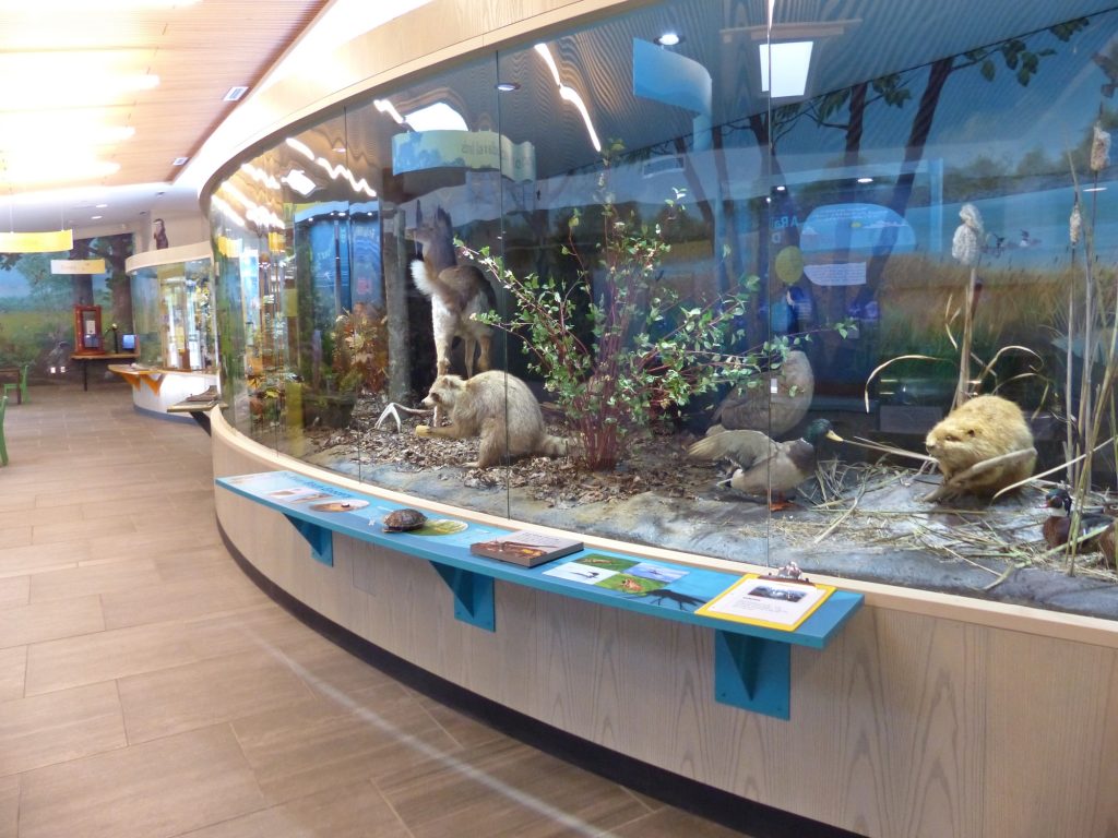 Inside The Nicandri Nature Center | Massena, NY 13662